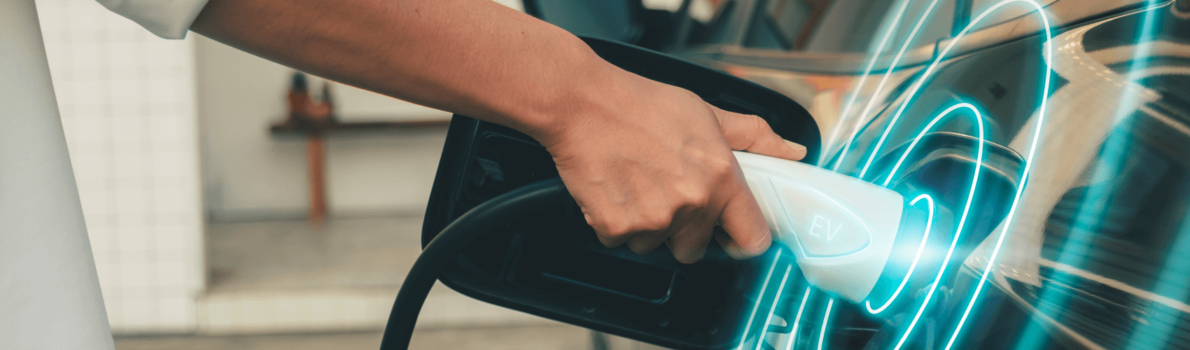 How to Buy a More Eco-Friendly Used Vehicle | Passport Automotive Group